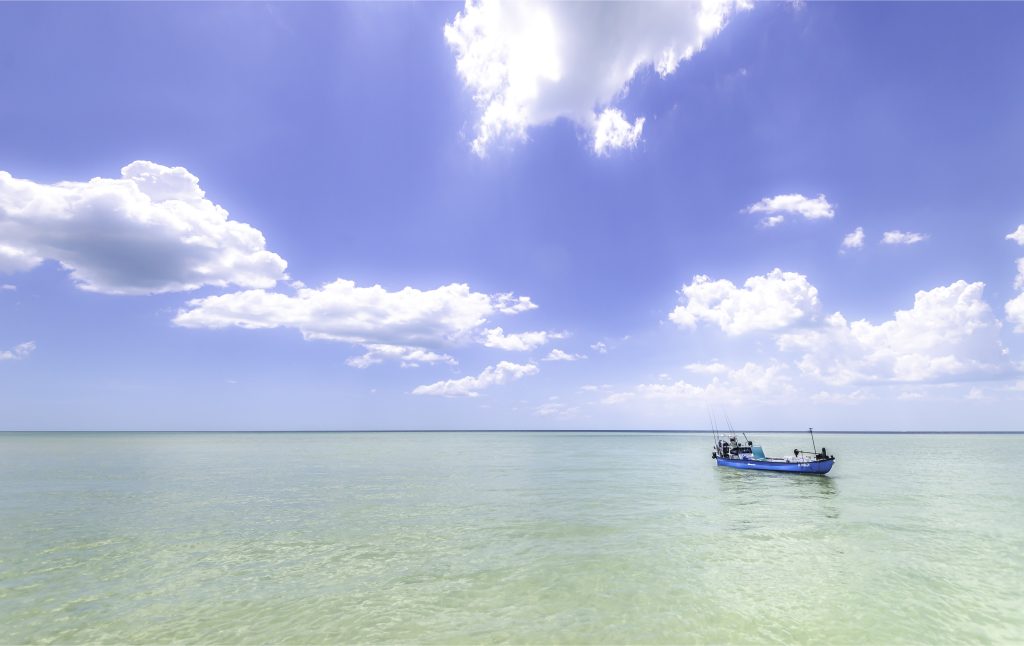 Hooked on Adventure: A Month-by-Month Guide to Fishing in the Islands ...